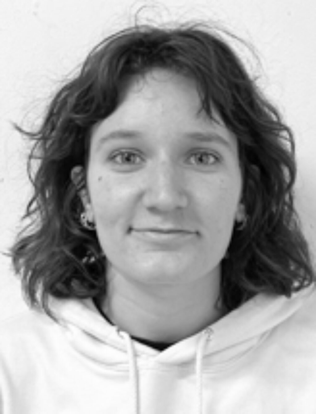 Coline Mestas – Didactique Visuelle