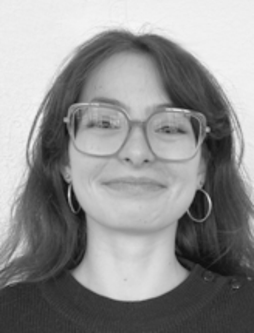 Lucie Hanquet – Didactique Visuelle
